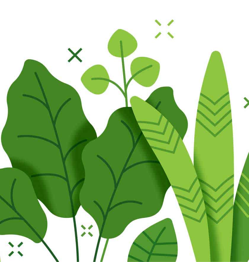 Paper Companies Invest In Doing Good